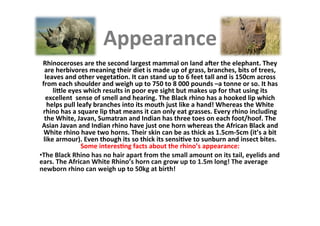 Olivia O's Rhino Project | PPT
