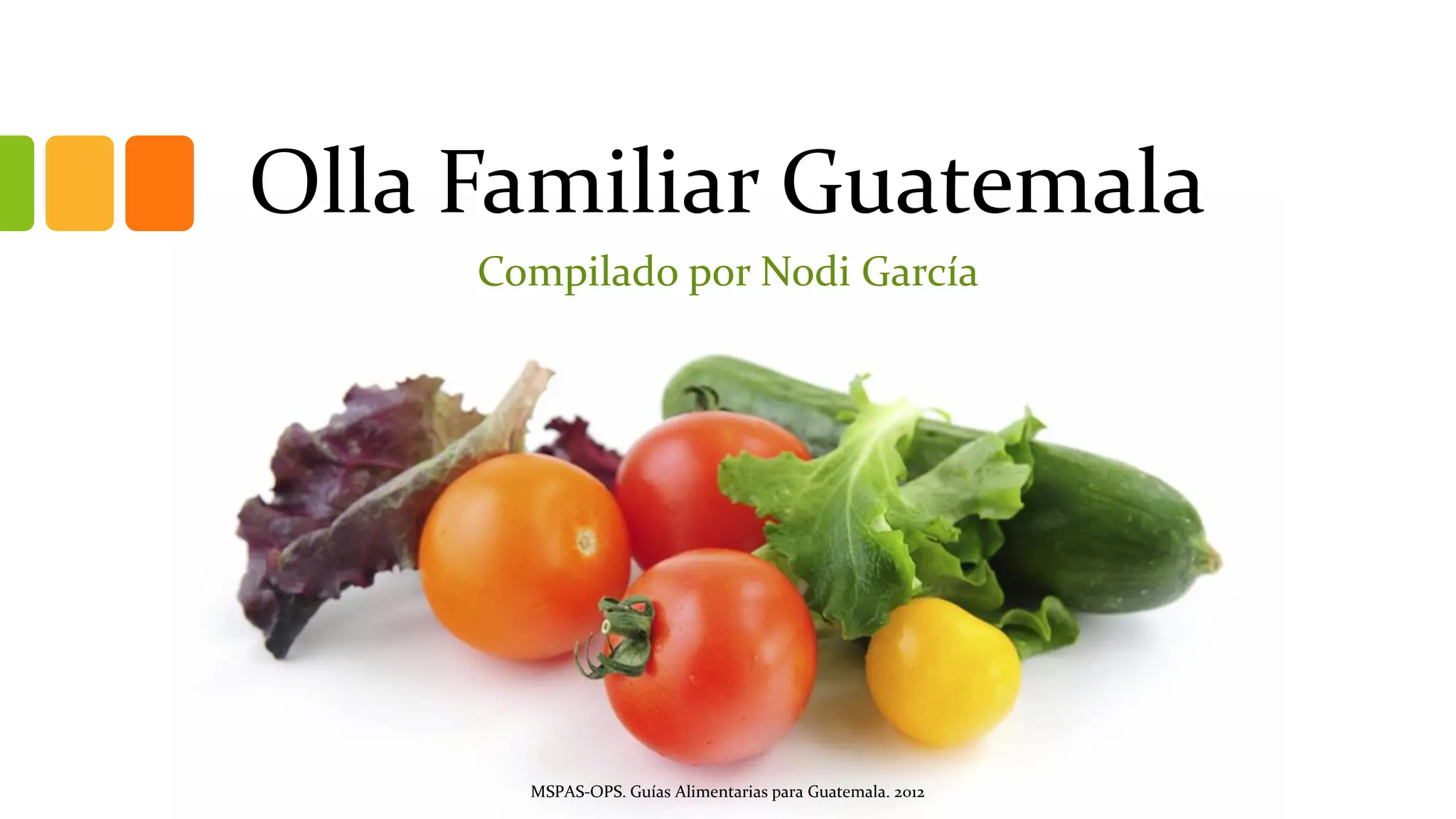 Olla Familiar segun Guias Alimentarias Guatemala.pdf