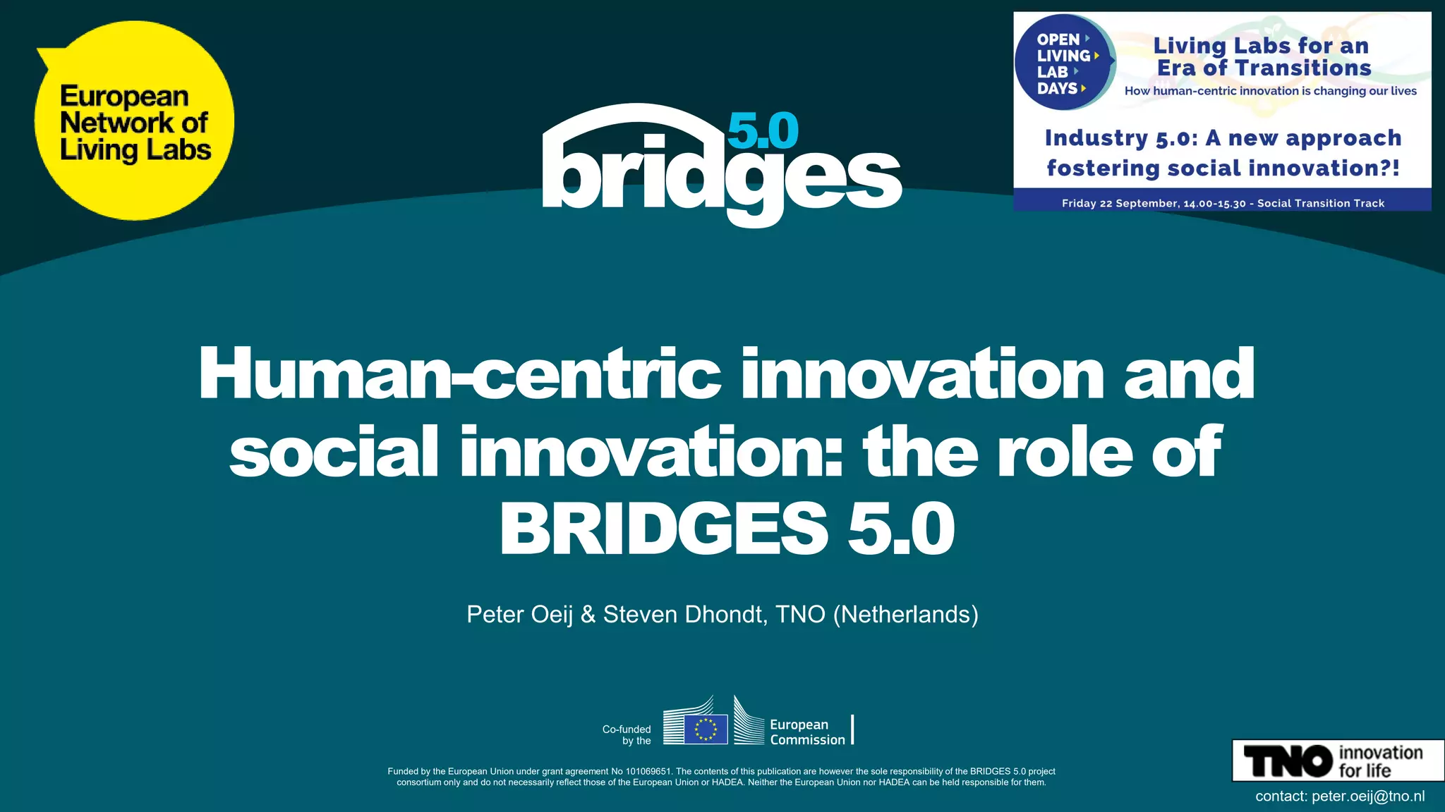 Dhondt, Steven & Oeij, Peter – Bridges5.0: Bridging Risks to an Inclusive Digital and Green ...