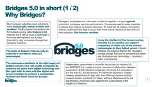 Dhondt, Steven & Oeij, Peter – Bridges5.0: Bridging Risks to an Inclusive Digital and Green ...