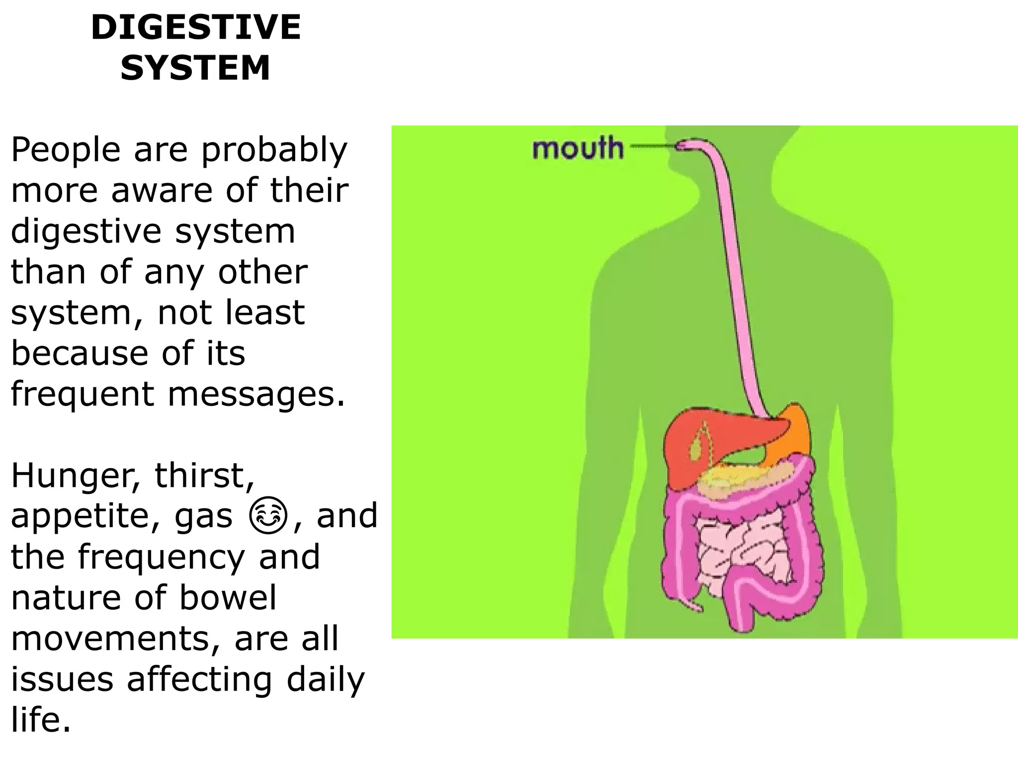 The Digestive System (1).pdf