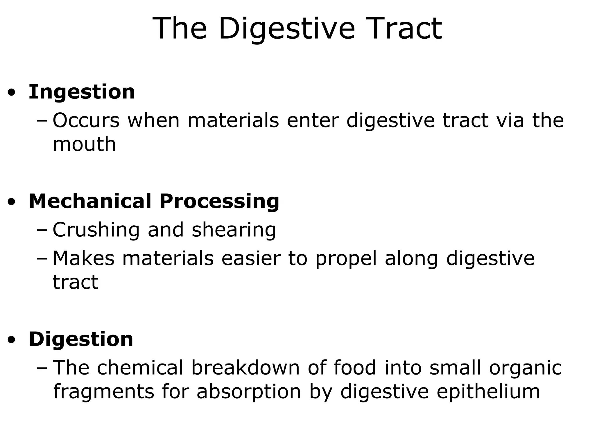 The Digestive System (1).pdf