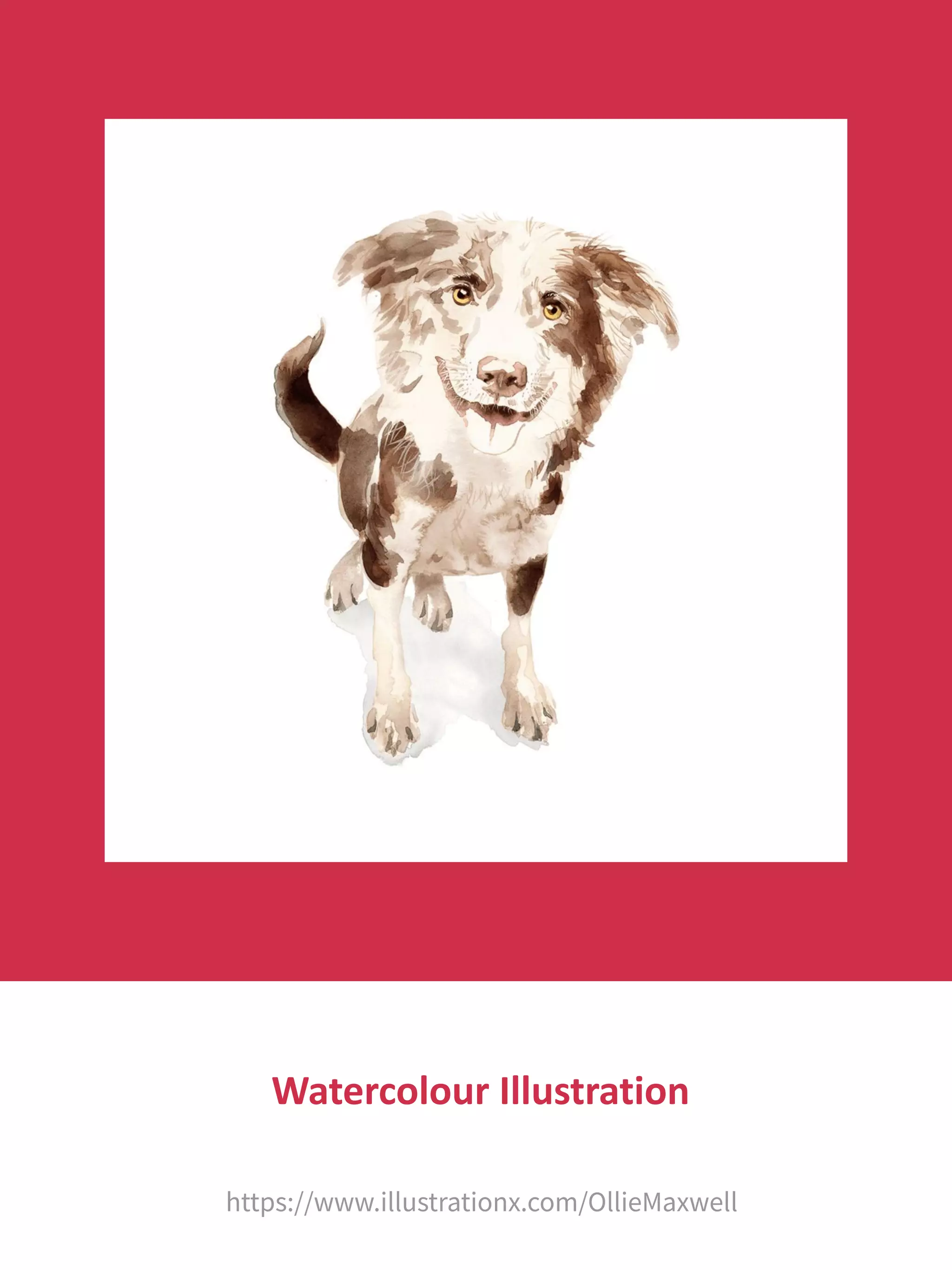 Ollie Maxwell - Packaging & Watercolour Illustrator, London | PDF