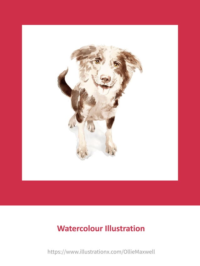 Ollie Maxwell - Packaging & Watercolour Illustrator, London | PDF ...