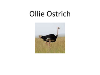 Ollie ostrich | PPTX