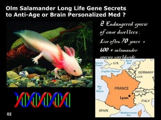 Salamander Long Life Gene Secrets_Anti-Aging Tech Intervention | PPT