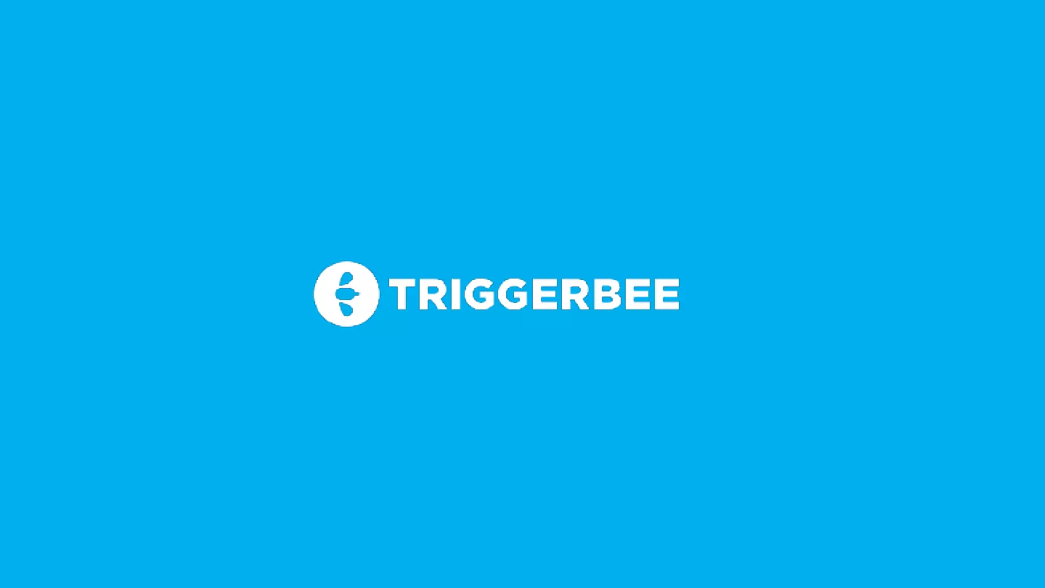 Olof Törnqvist på Triggerbee - Presentation på IHM Business School | PPT