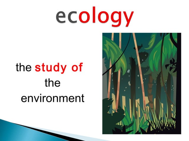 Ology vocabulary words | PPT