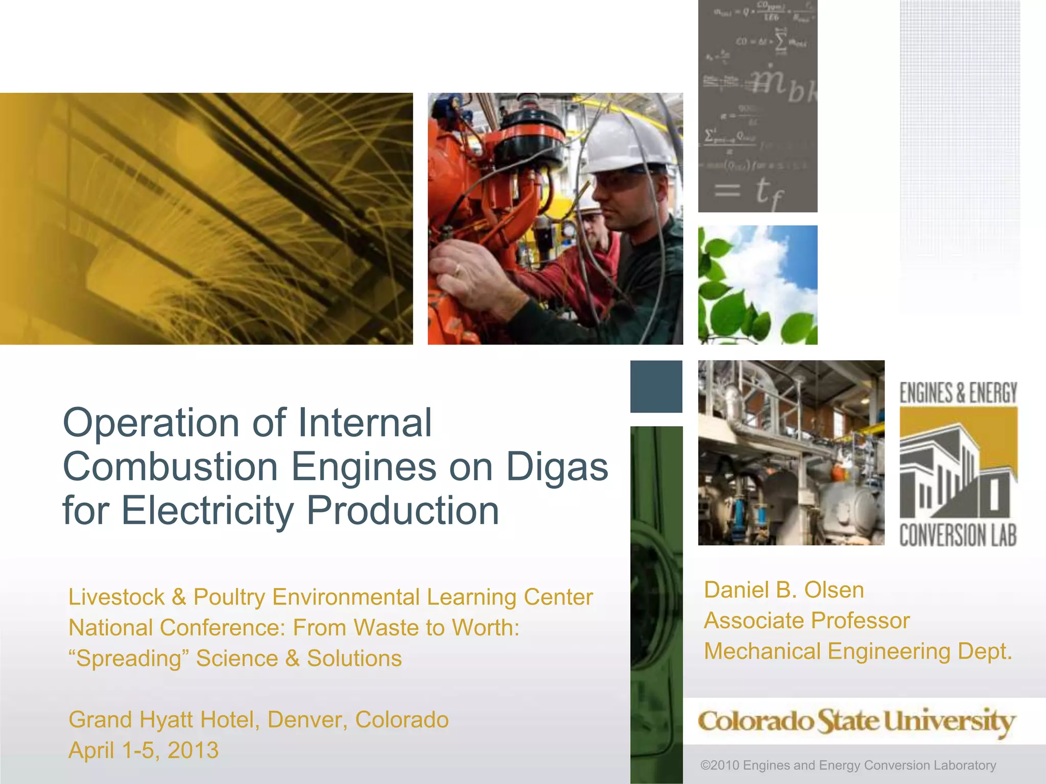 Operation of Internal Combustion Engines on Digas for Electricity ...