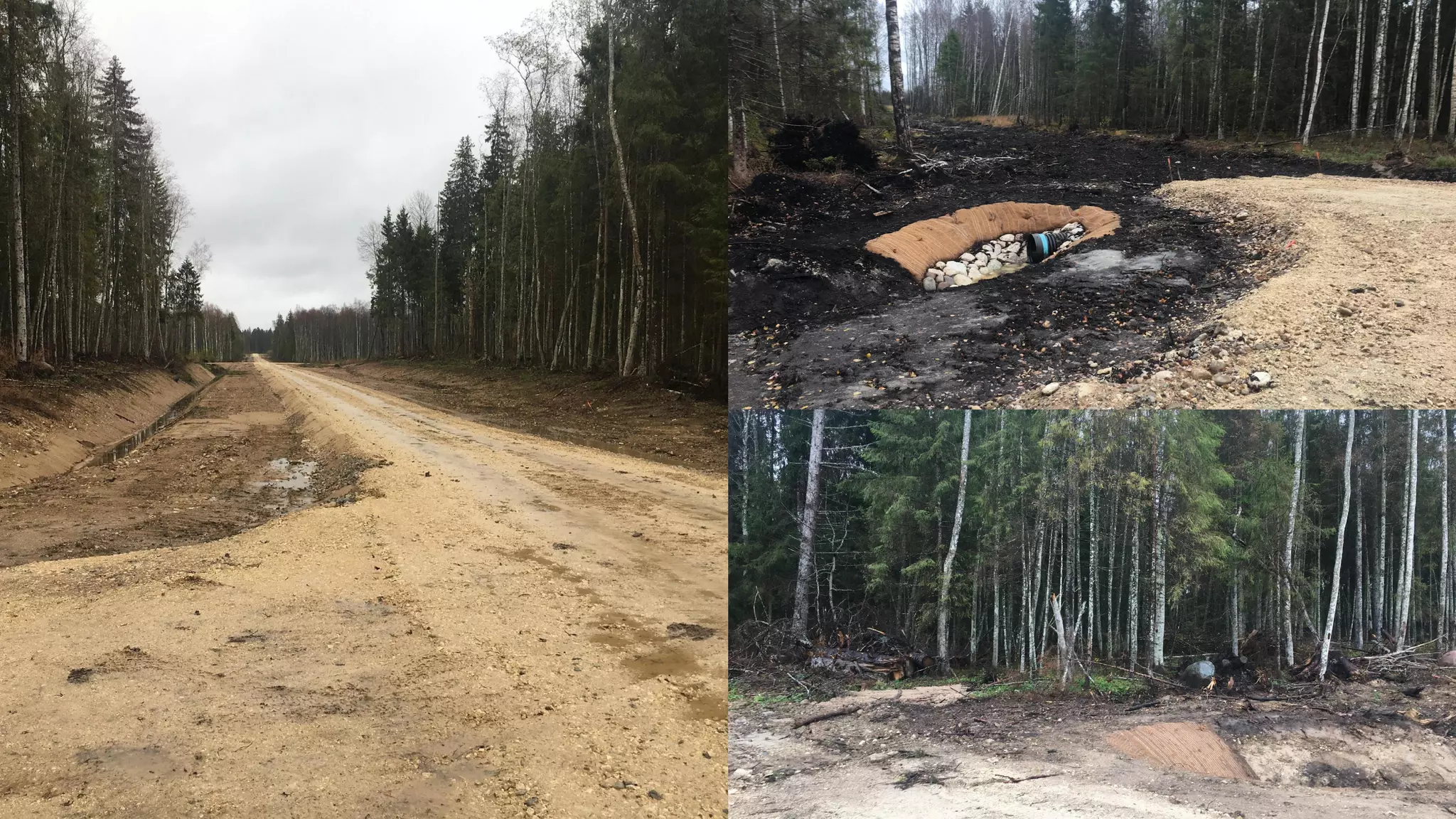 OLUKORRAST METSAS.pptx.pdf