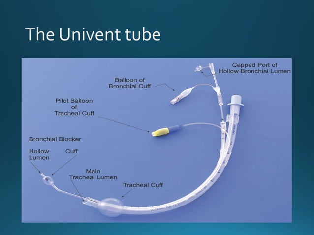 One Lung Ventilation | PPTX | Lung and Respiratory Health | Diseases ...