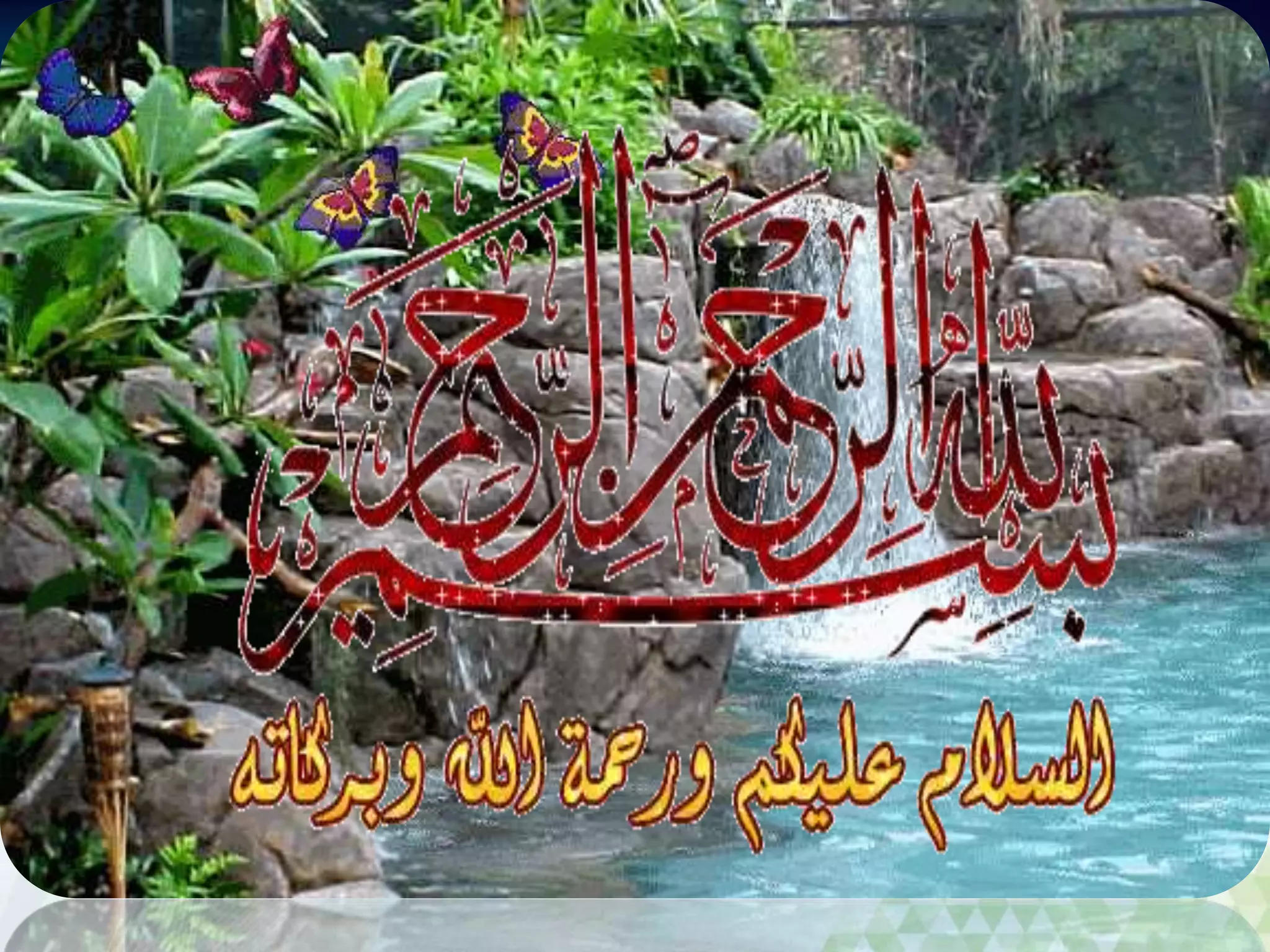 OLVER Presentation.pptx