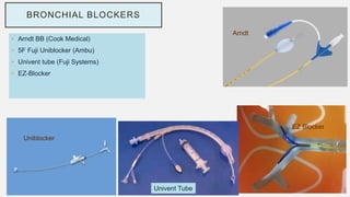 One lung ventilation in pediatric and adult patients | PPTX