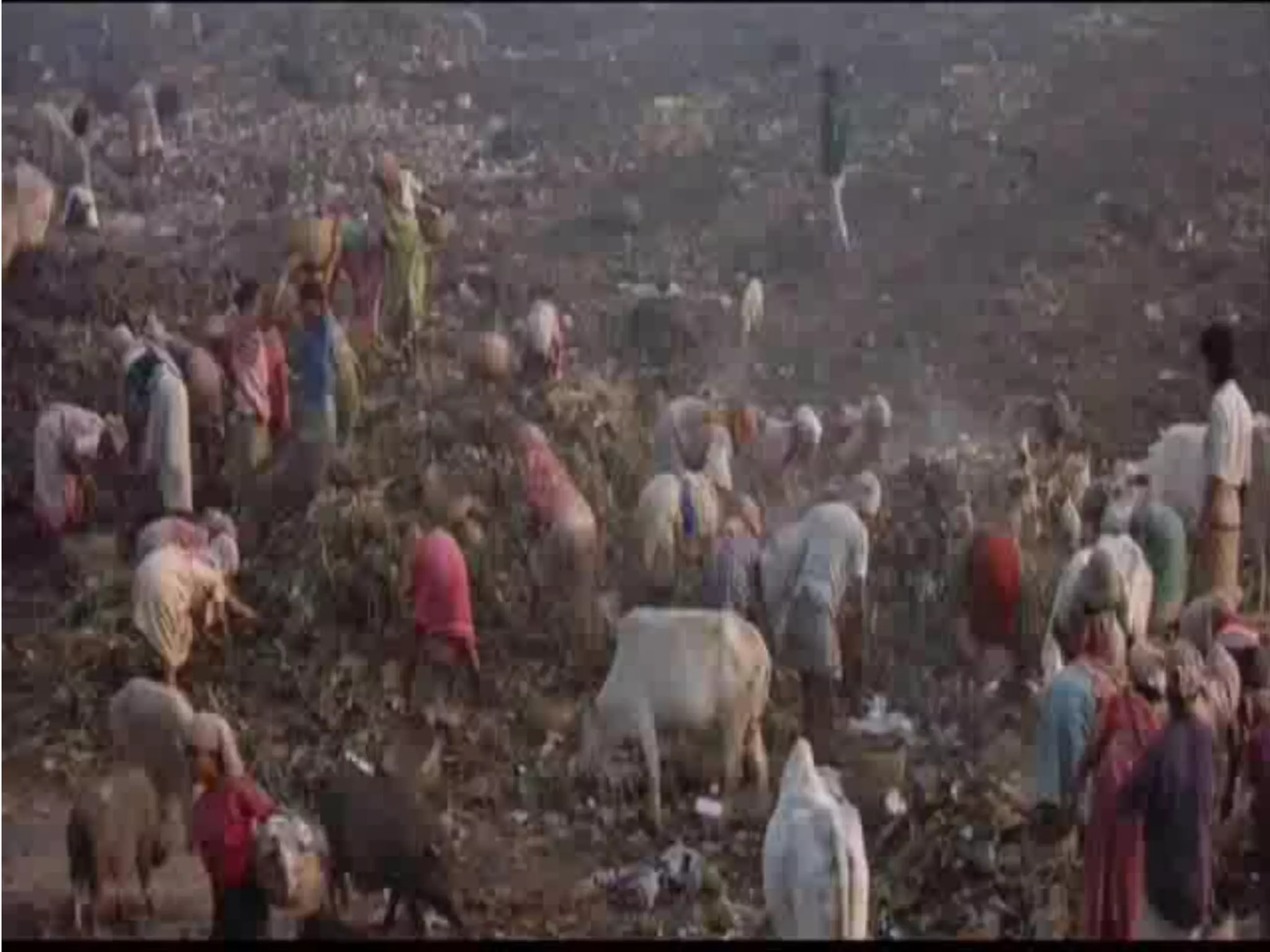 Olympia unilever india_case | PDF