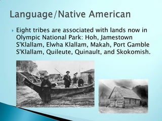 Olympic National Park | PPTX