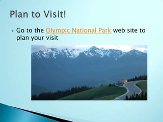 Olympic National Park | PPTX