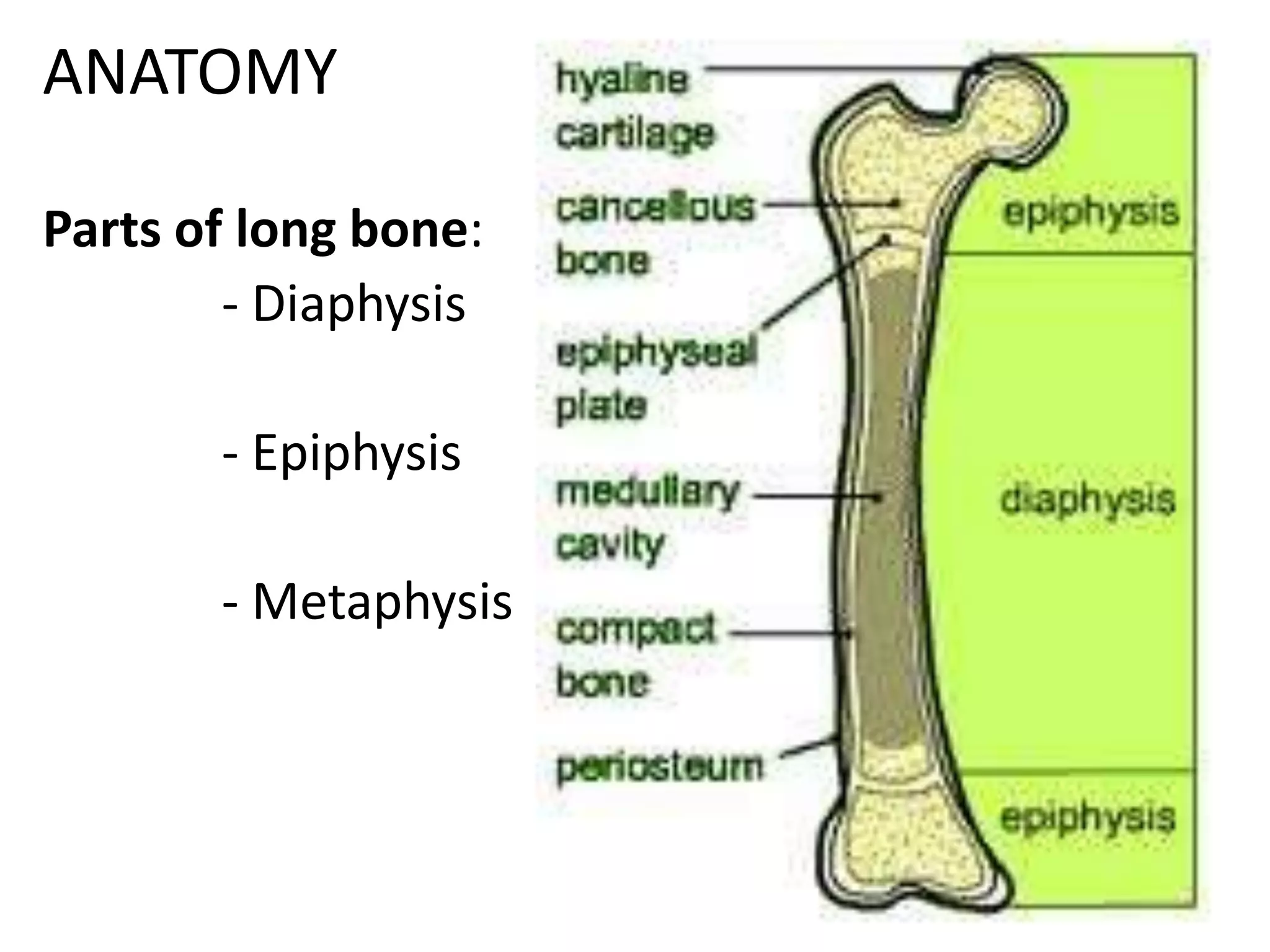 Osteomyelitis, acute, chronic,multifocal. classification, treatment | PPSX