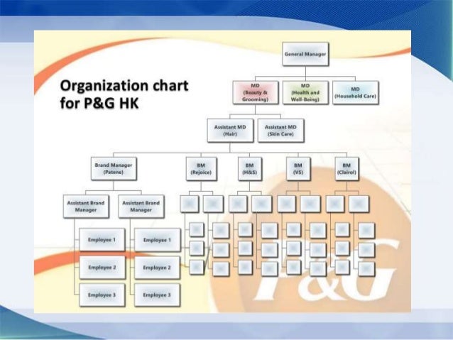 Procter and Gamble Company
