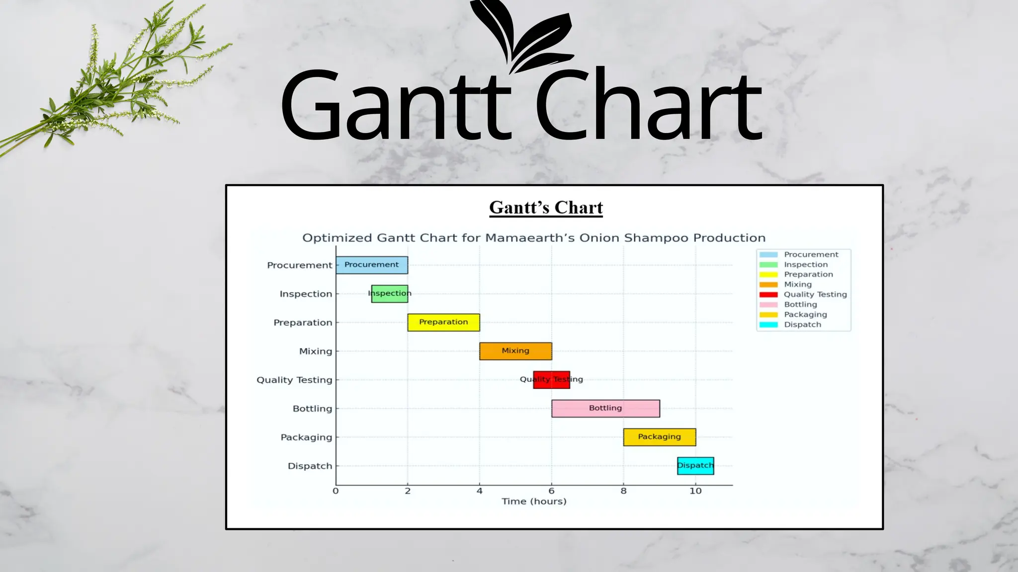 "Mamaearth: Operations Management and Sustainability in Action" | PPTX