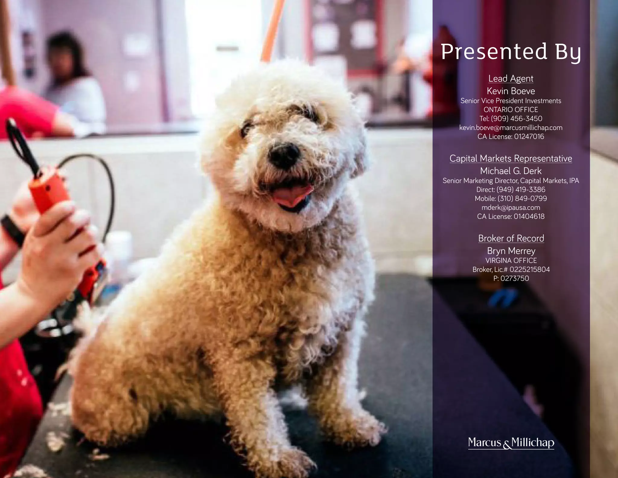 Petsuites in Newport News, VA | PDF