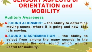 ORIENTATION AND MOBILITY FOR BLIND PERSON | PPT