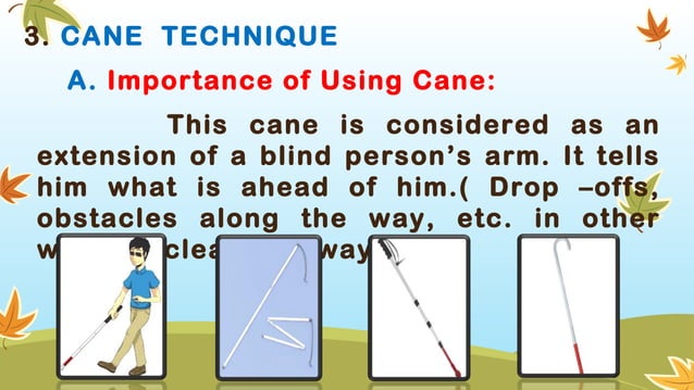 ORIENTATION AND MOBILITY FOR BLIND PERSON | PPT