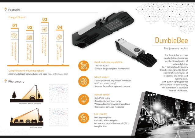 OMA BUMBLE BEE | PPT