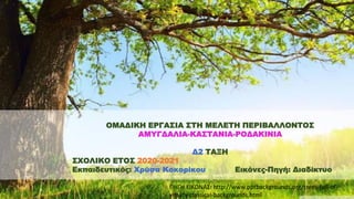 2 ΔΗΜΟΤΙΚΟ ΠΕΥΚΗΣ ΧΡΥΣΑ ΚΟΚΟΡΙΚΟΥ Δ2-ΔΕΝΤΡΑ | PDF