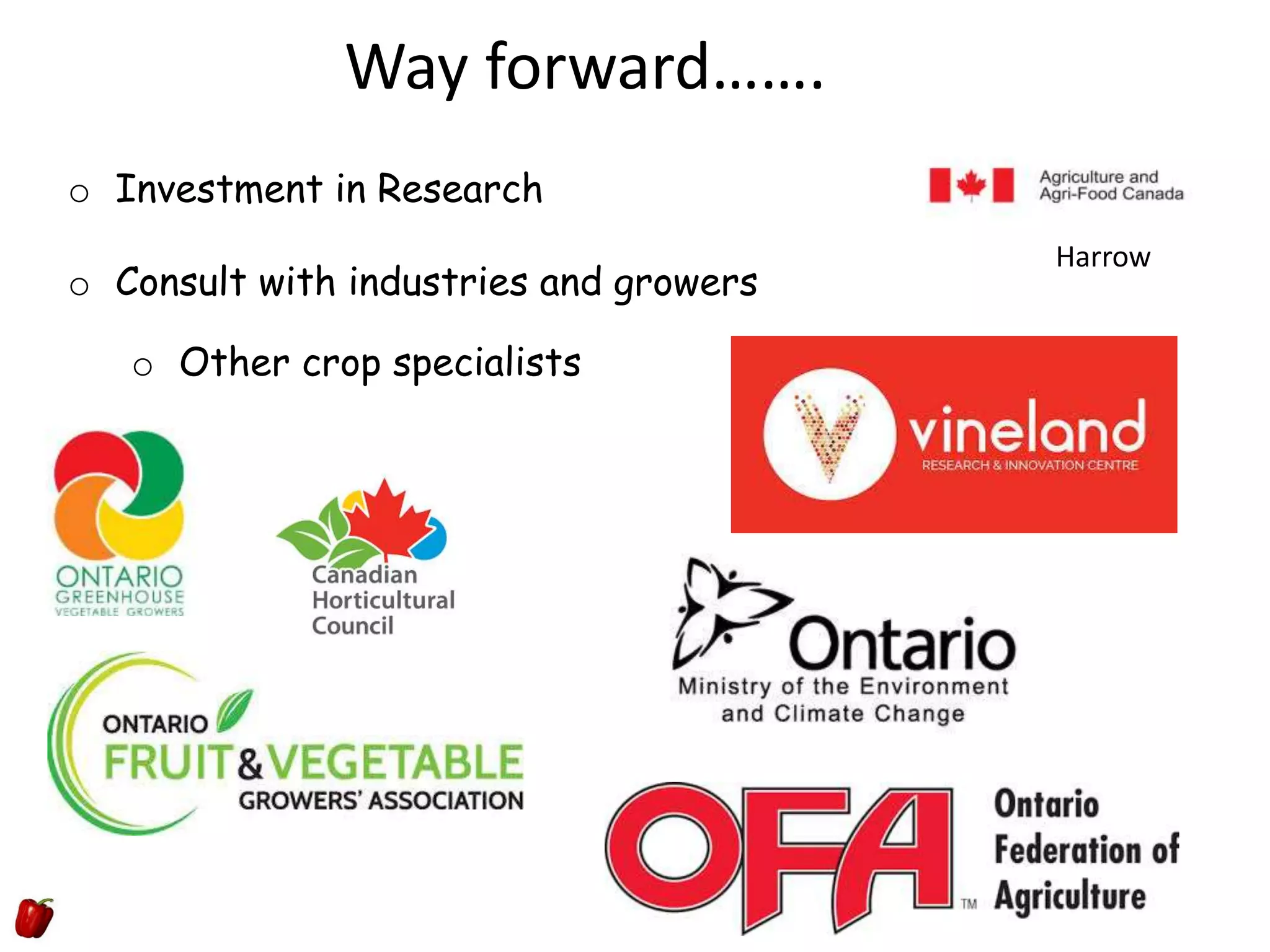 OMAFRA Veg presentation.pptx