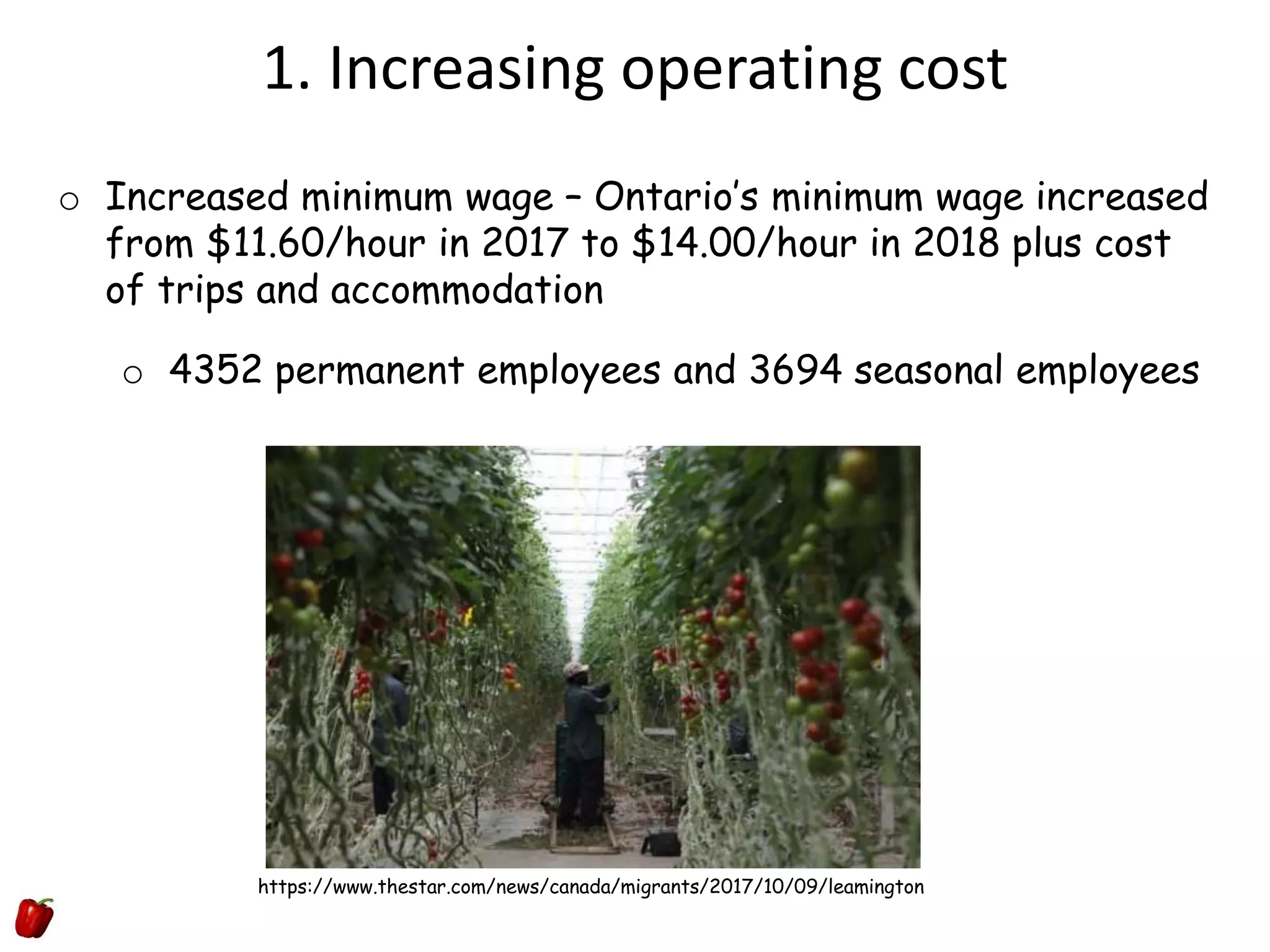 OMAFRA Veg presentation.pptx