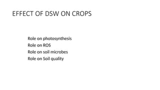 Role of spentwash in agriculture for irrigation | PPTX