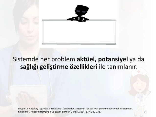 OMAHA SİSTEMİ .pptx