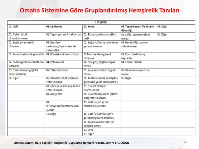OMAHA SİSTEMİ .pptx