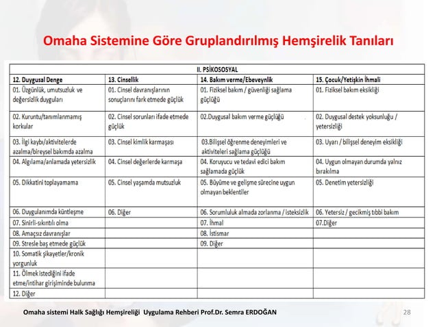 OMAHA SİSTEMİ .pptx