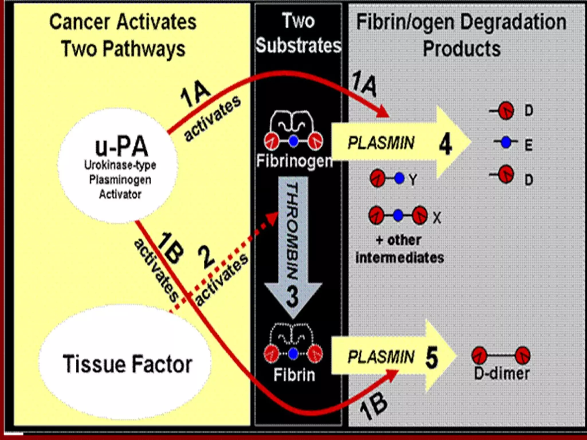 D-DIMER LEVELS decreased in severe allergic asthma and chronic ...