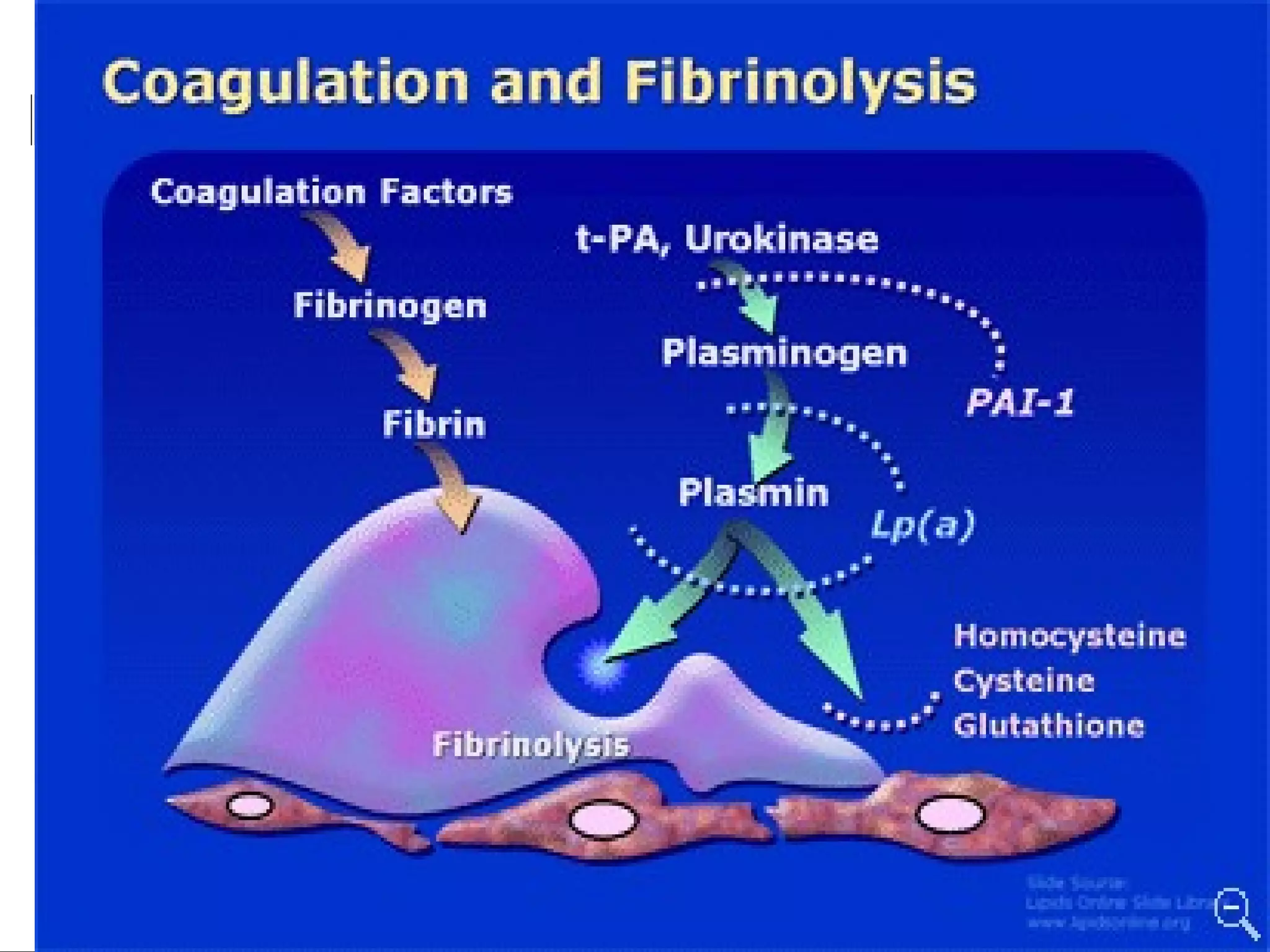 D-DIMER LEVELS decreased in severe allergic asthma and chronic ...