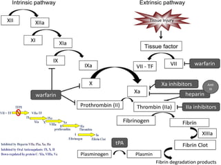 D-DIMER LEVELS decreased in severe allergic asthma and chronic ...