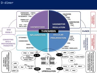D-DIMER LEVELS decreased in severe allergic asthma and chronic ...