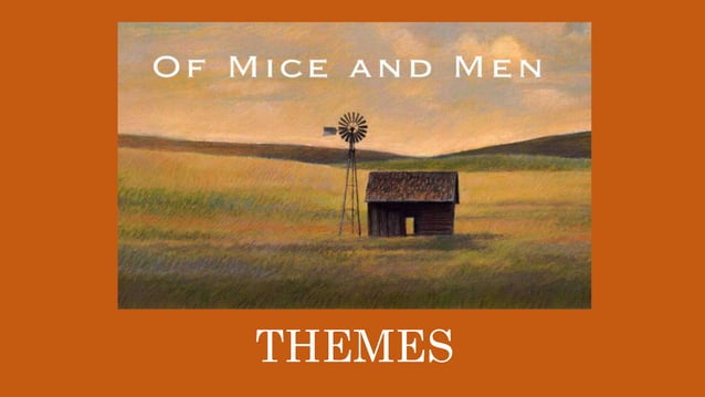 Omam themes | PPTX
