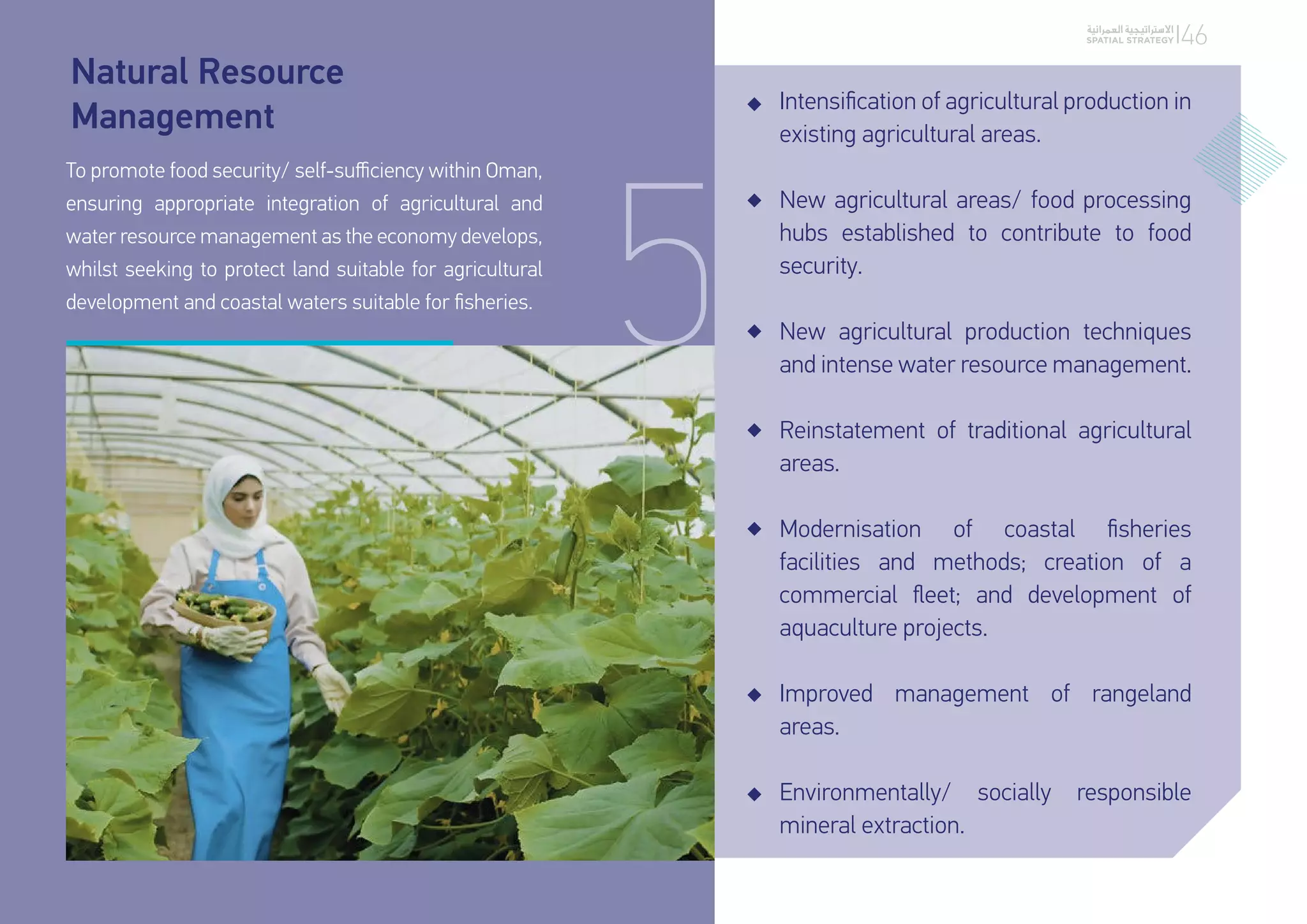 Oman’s 2040 National Spatial Strategy, Coordination of Economic and ...