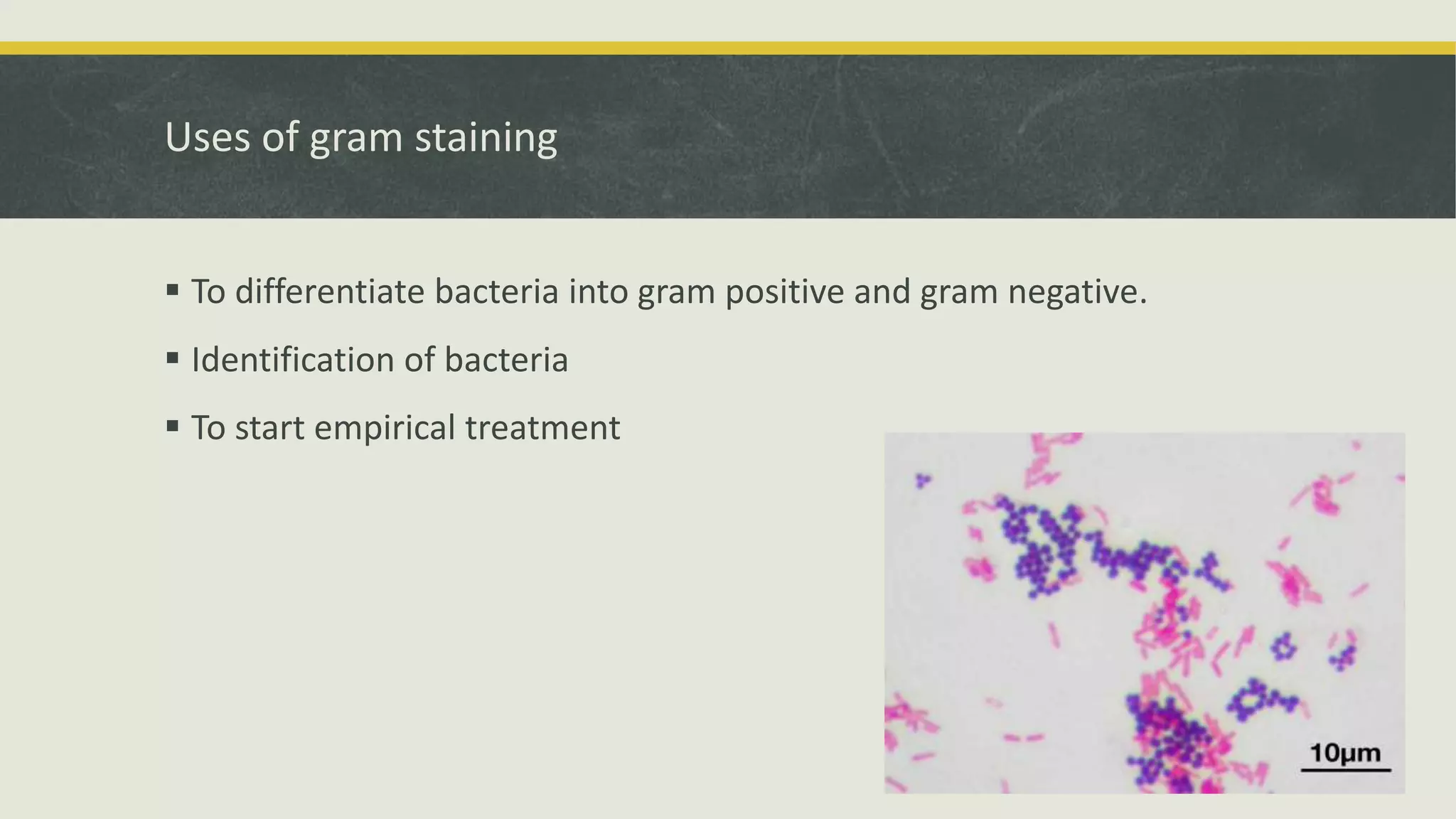 Omar Arar ( Gram's stain).pptx