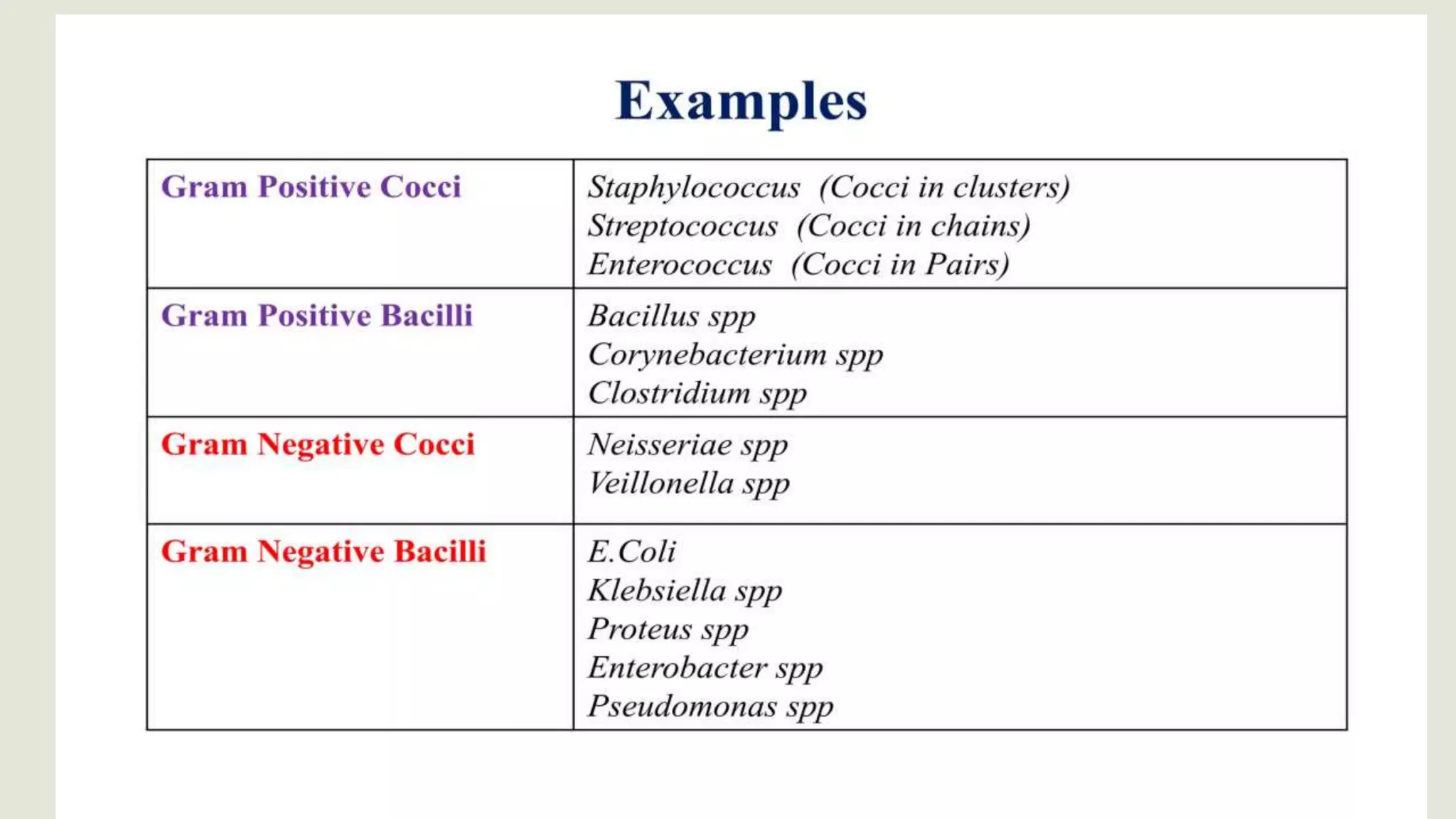 Omar Arar ( Gram's stain).pptx