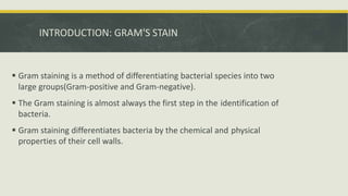 Omar Arar ( Gram's stain).pptx