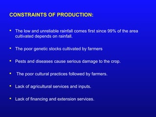 Omar presentation | PPT | Agriculture | Industries