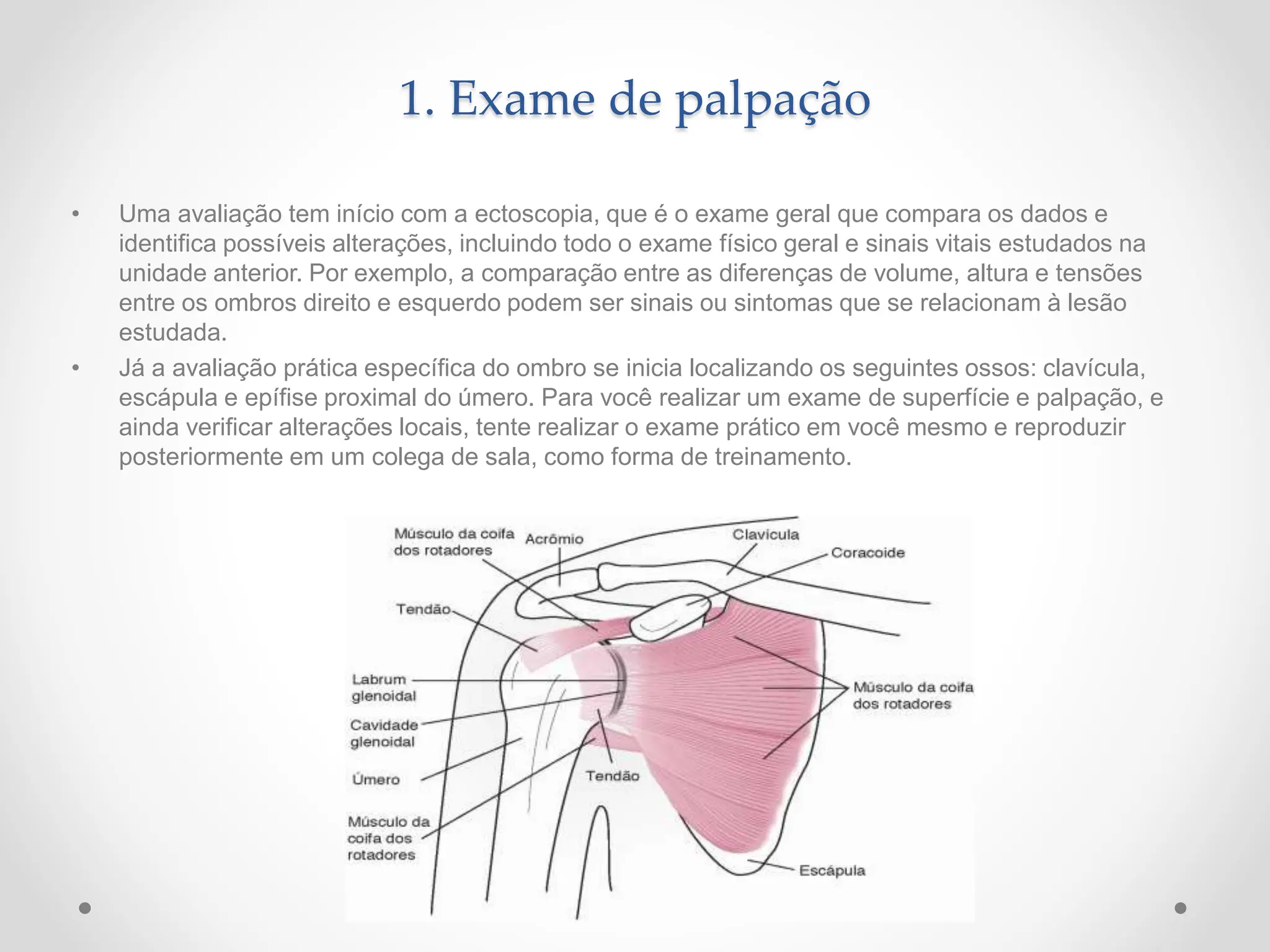 ombro avaliação fisico-dksakdsakdsakaskdsakds | PPT