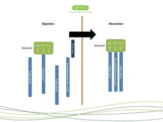 Long-chain omega-3s as therapeutics: understanding sources ...