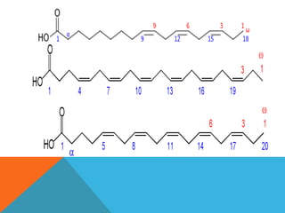 Omega 3 Omega 6 Structure