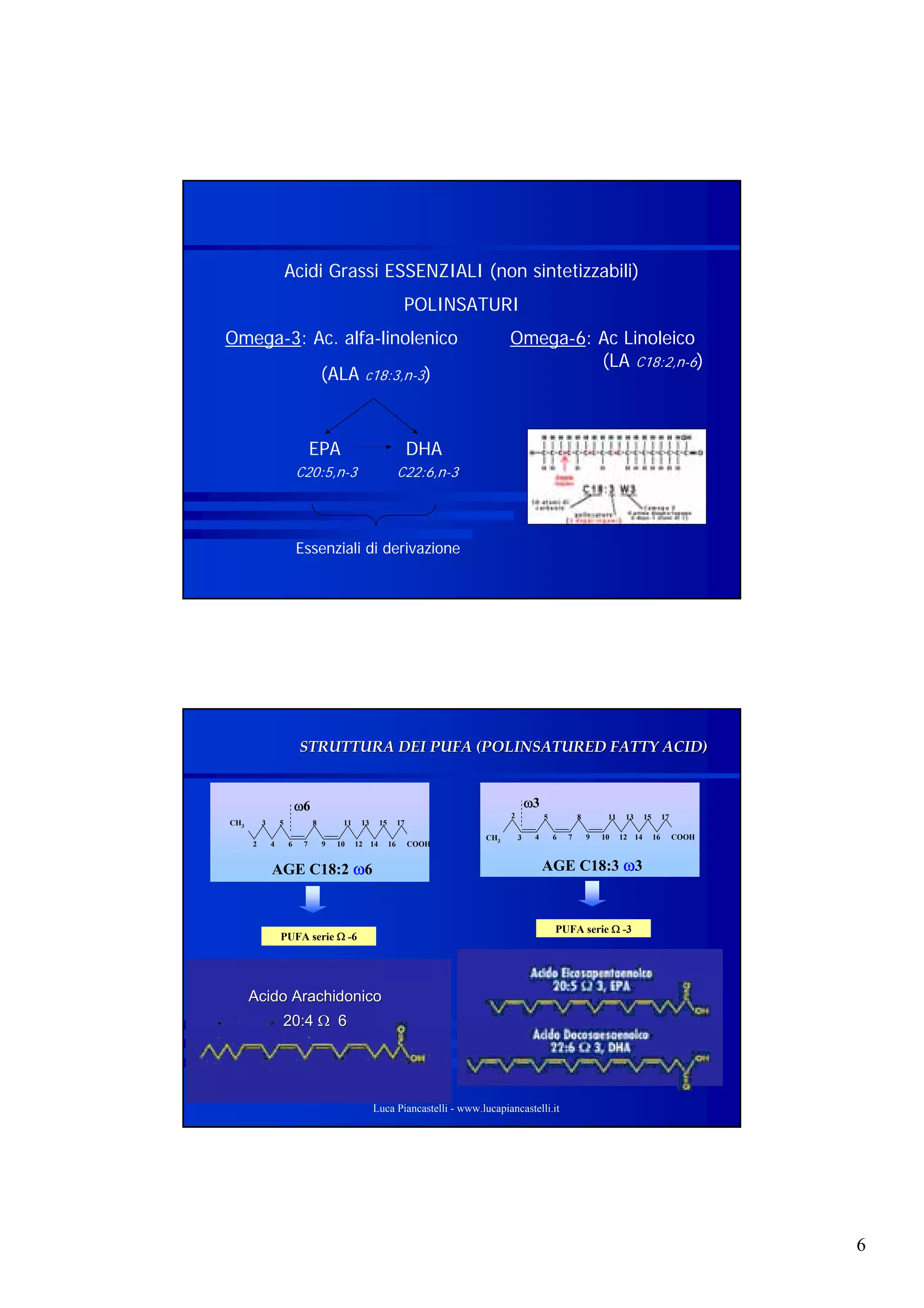 Acidi grassi Omega 3:un'importante fonte di energia | PDF