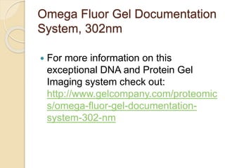 Omega Fluor Gel Documentation System 302 nm | PPT