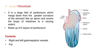 Omentum.pptx